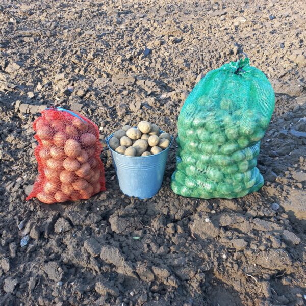 Kartuli müük - telli talutooted otse koju - Põllult Koju